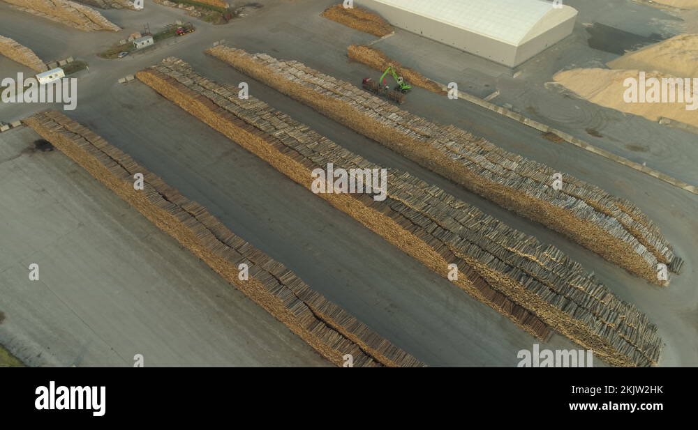 Piles of tree logs in wood terminal crane unloading logging truck ...