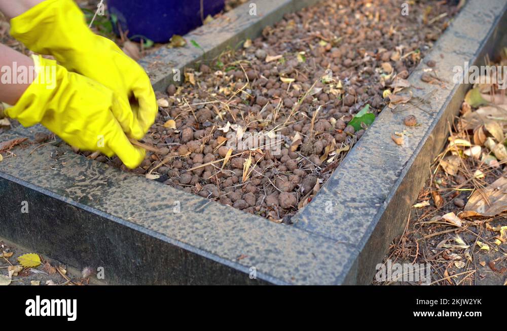 Gravestone cleaning Stock Videos & Footage - HD and 4K Video Clips - Alamy