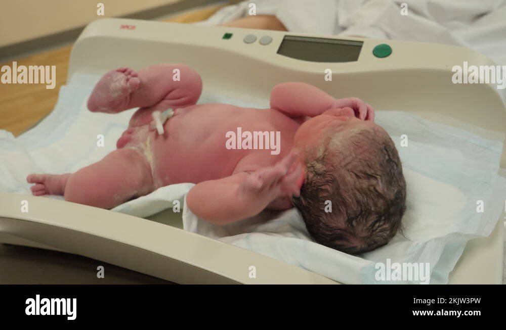 4K: Newborn baby being weighed in Maternity ward in the hospital. On ...