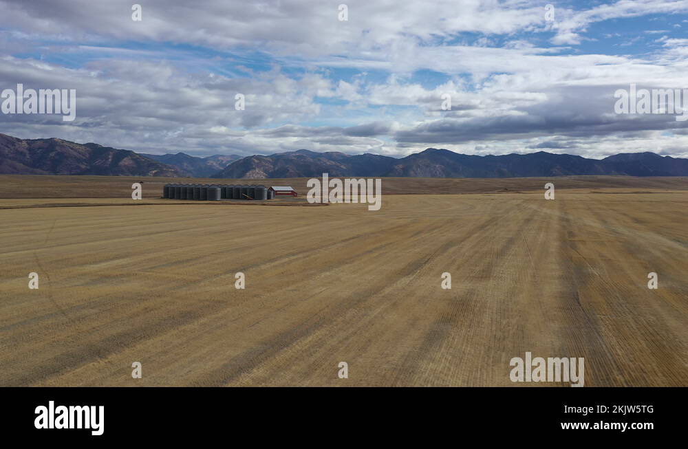 Bins grass Stock Videos & Footage - HD and 4K Video Clips - Alamy