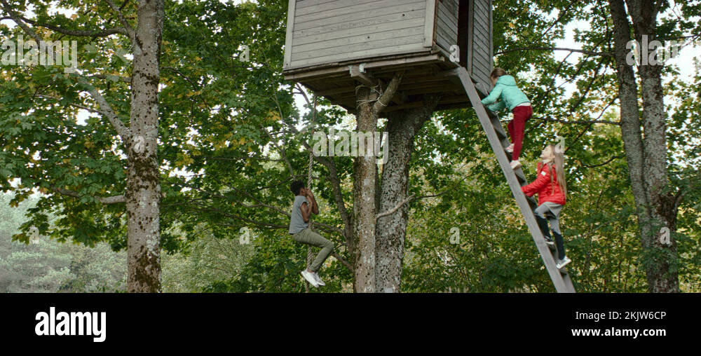 Kids building tree house Stock Videos & Footage - HD and 4K Video Clips ...