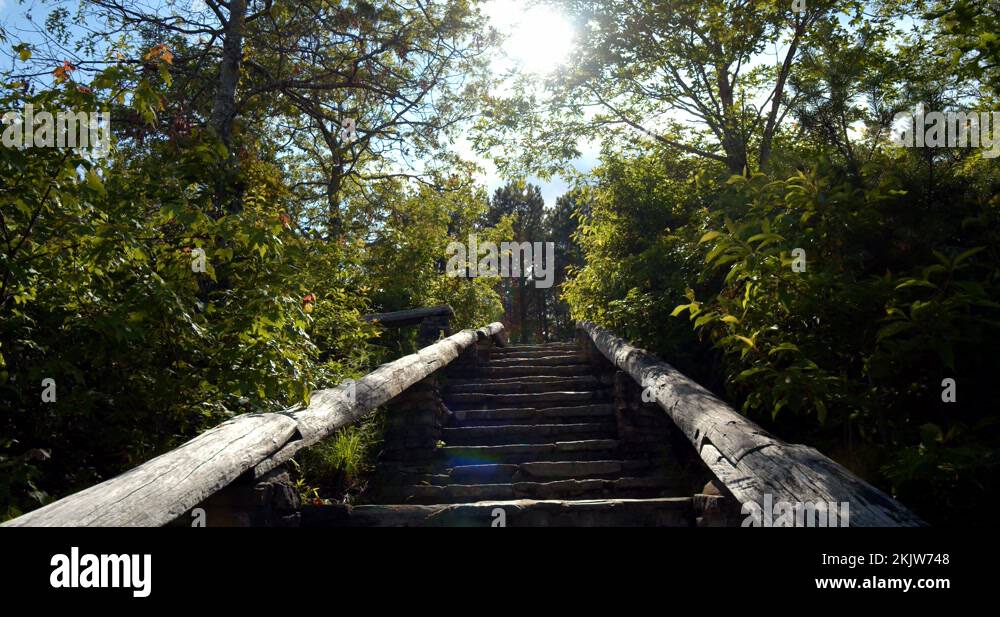 Steps into wilderness Stock Videos & Footage - HD and 4K Video Clips ...