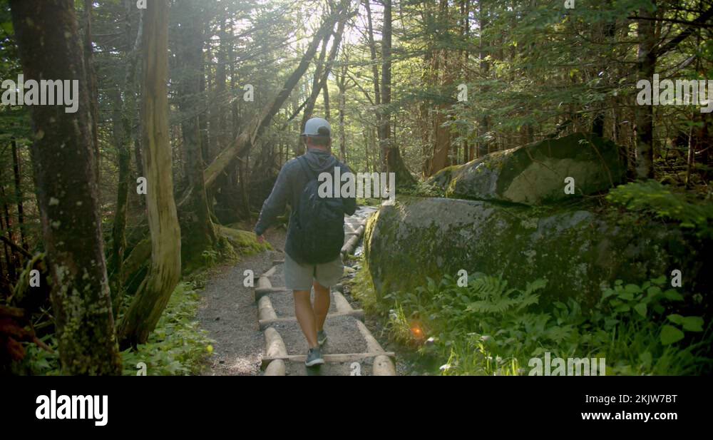 Man Hiking Appalachian Trail, Sun, Lens Flare, 4K Stock Video Footage ...
