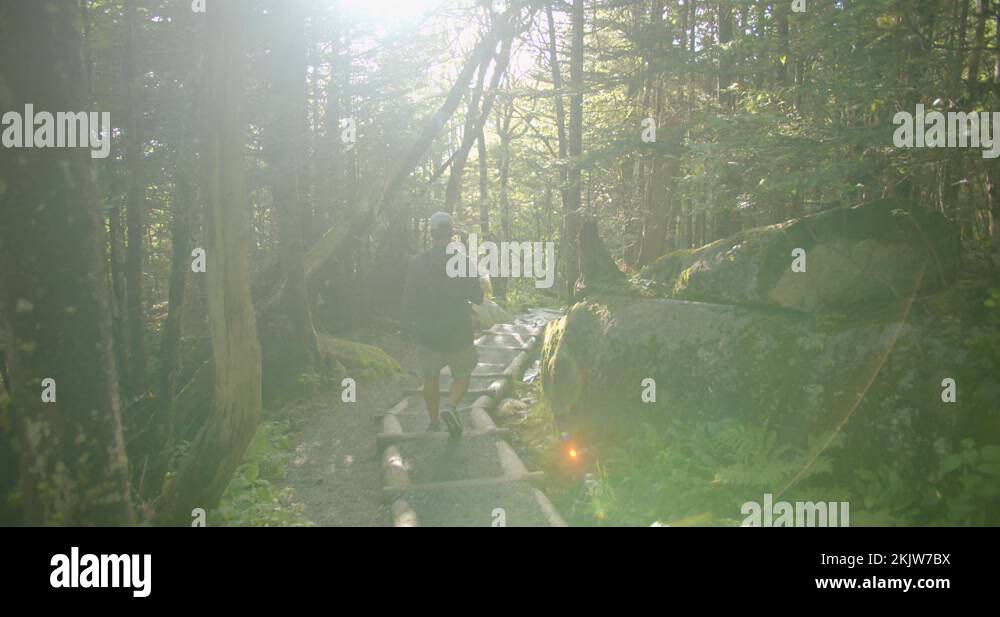 Man Hiking Appalachian Trail, Sun, Lens Flare, 4K Stock Video Footage ...