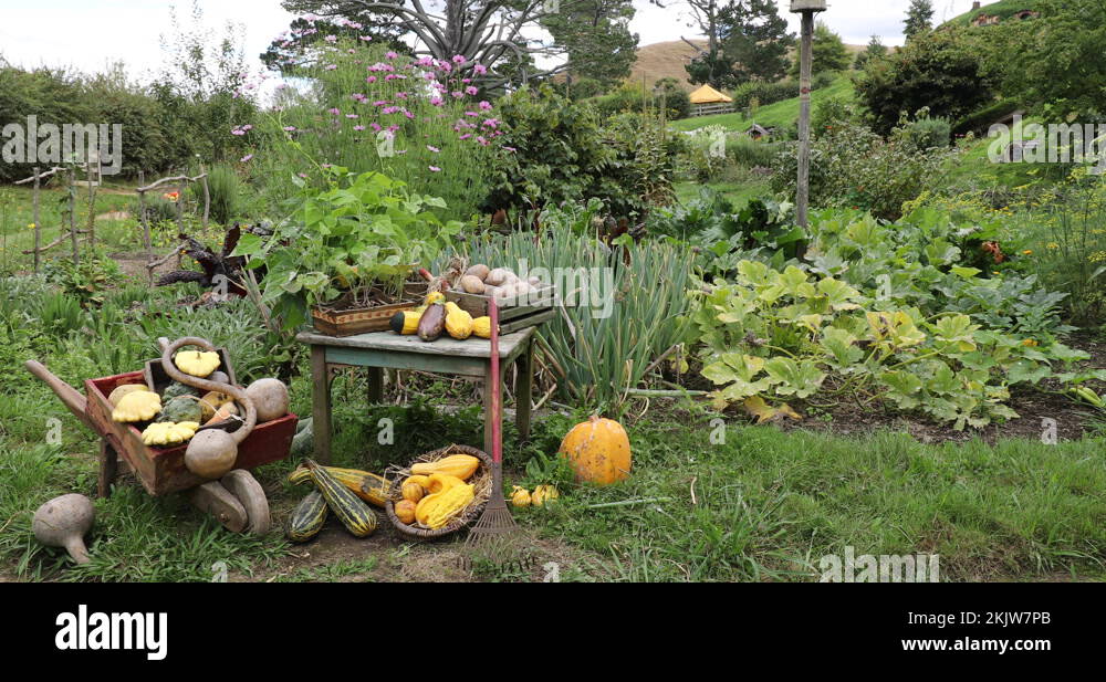 A hobbit cottage at Hobbiton film movie set,Matamata,Waikato,New ...