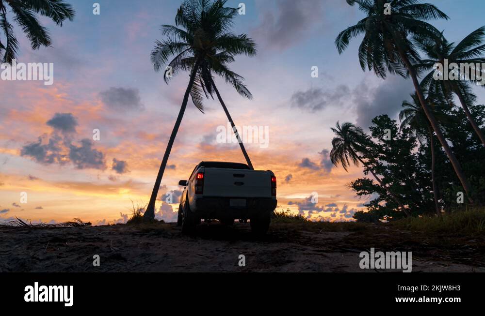 Crossed palm trees Stock Videos & Footage - HD and 4K Video Clips - Alamy