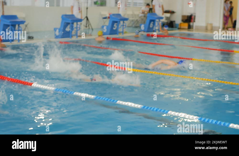 Fast underwater swimmers Stock Videos & Footage - HD and 4K Video Clips ...