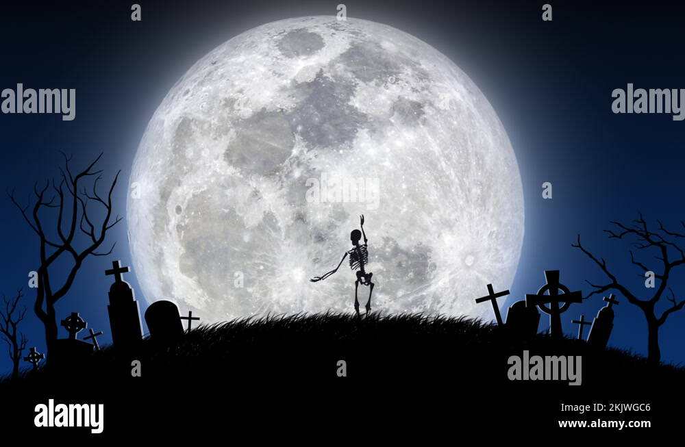 Bone moon Stock Videos & Footage - HD and 4K Video Clips - Alamy