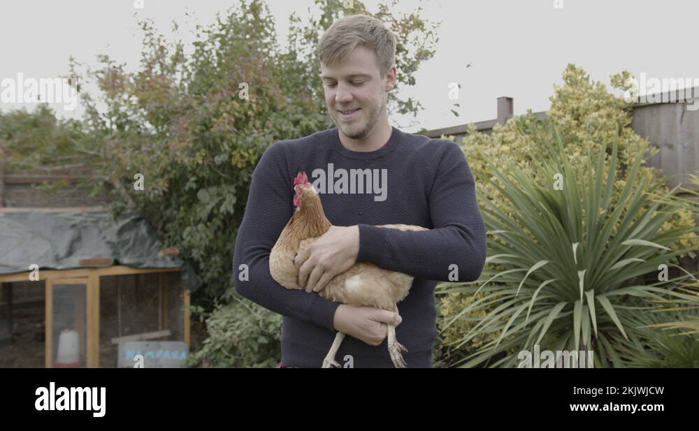 Man with hen Stock Videos & Footage - HD and 4K Video Clips - Alamy