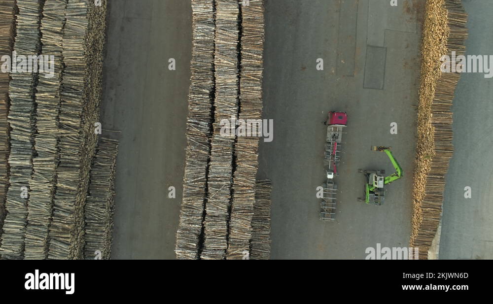 Log piles in wood terminal crane unloading timber from logging truck ...