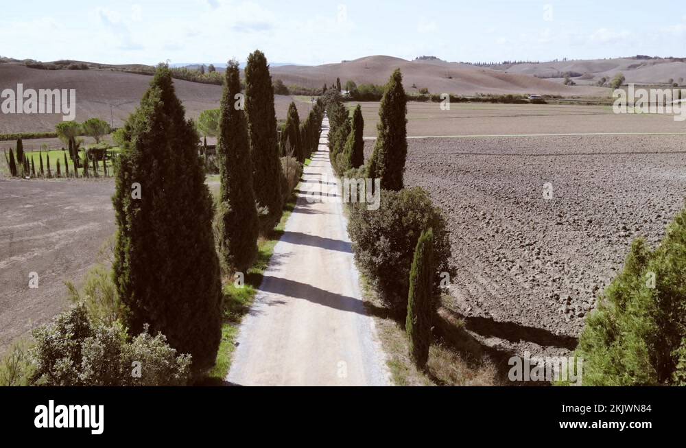 Path lined with cypress trees Stock Videos & Footage - HD and 4K Video ...