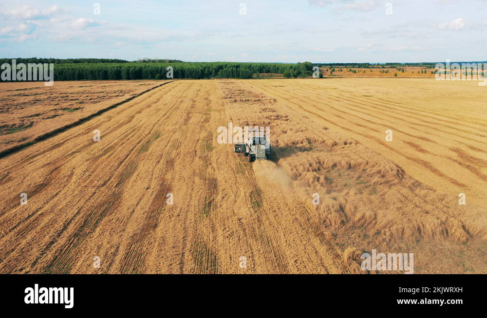 Collecting gathering harvesting Stock Videos & Footage - HD and 4K ...