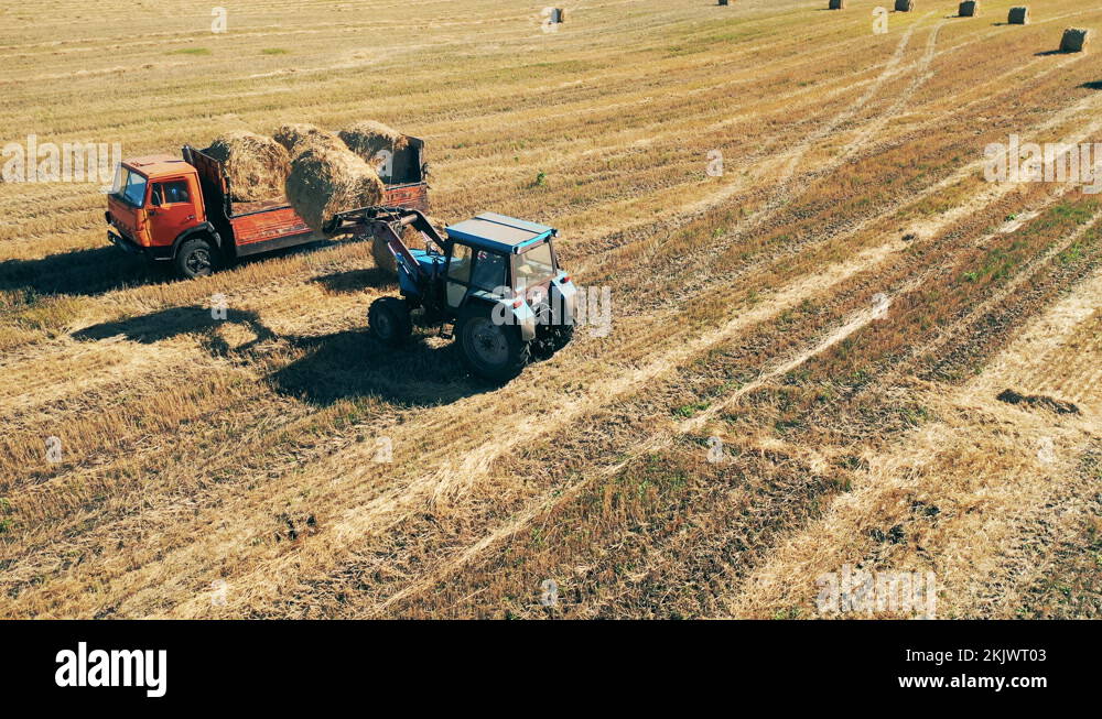 Loading hay truck Stock Videos & Footage - HD and 4K Video Clips - Alamy