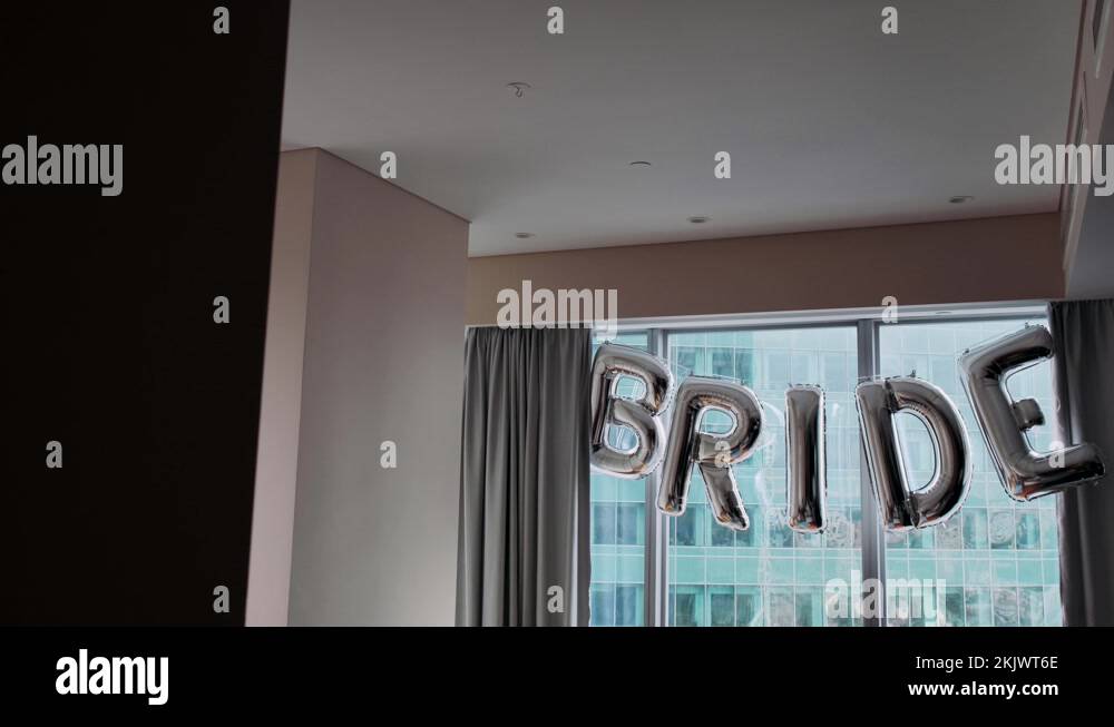 Bride standing silhouette isolated Stock Videos & Footage - HD and 4K ...