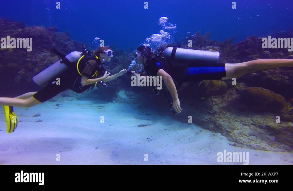 scubadiving couple underwater kissing in the caribbean sea Stock Video ...