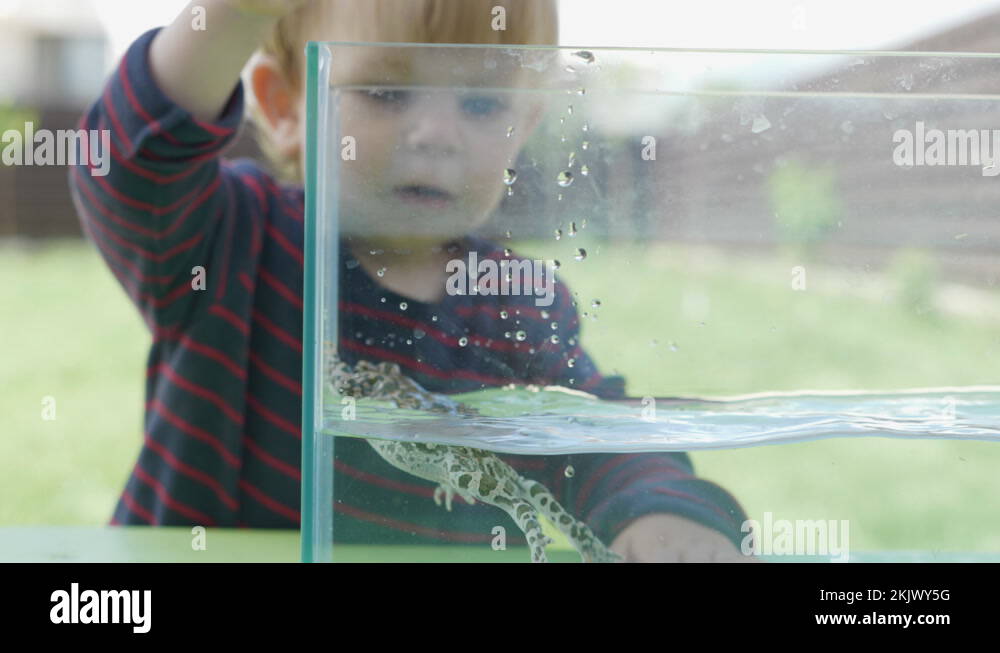 Floating prison Stock Videos & Footage - HD and 4K Video Clips - Alamy