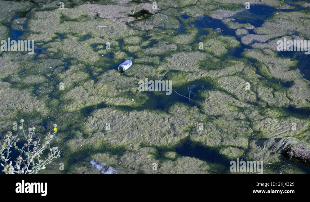 Lake pollution Stock Videos & Footage - HD and 4K Video Clips - Alamy