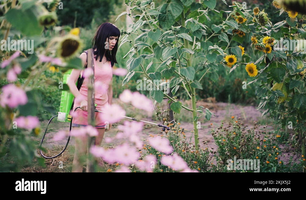 Woman and insects Stock Videos & Footage - HD and 4K Video Clips - Alamy