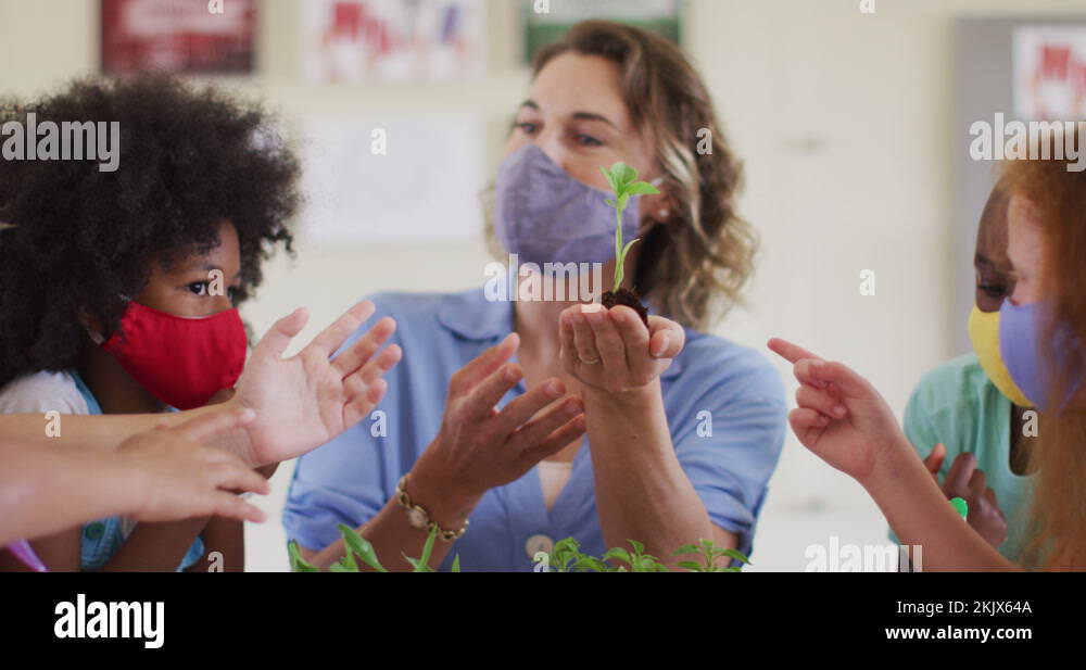 Female teacher wearing face mask showing plant sapling to students in ...