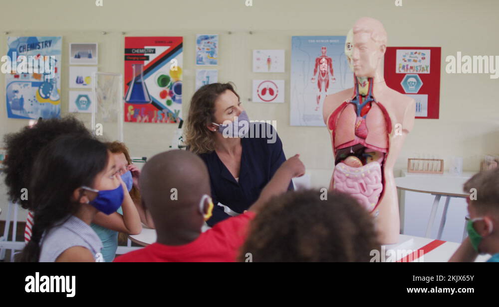 Female teacher wearing face mask using human anatomy model to teach ...