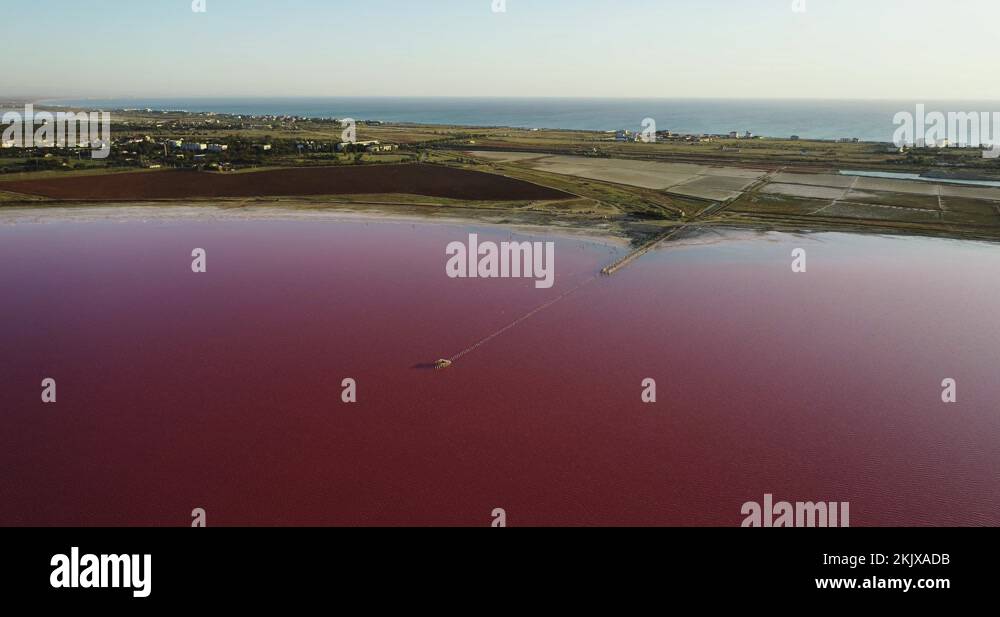 Pink saline sea with small wave / salt marsh lake water evaporation ...