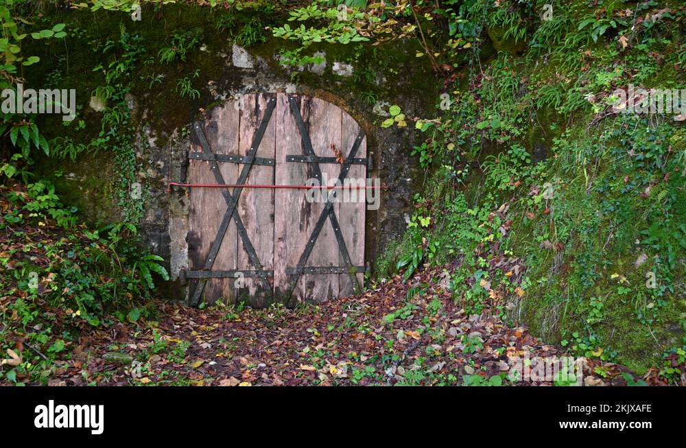 Secret passage tunnel Stock Videos & Footage - HD and 4K Video Clips ...