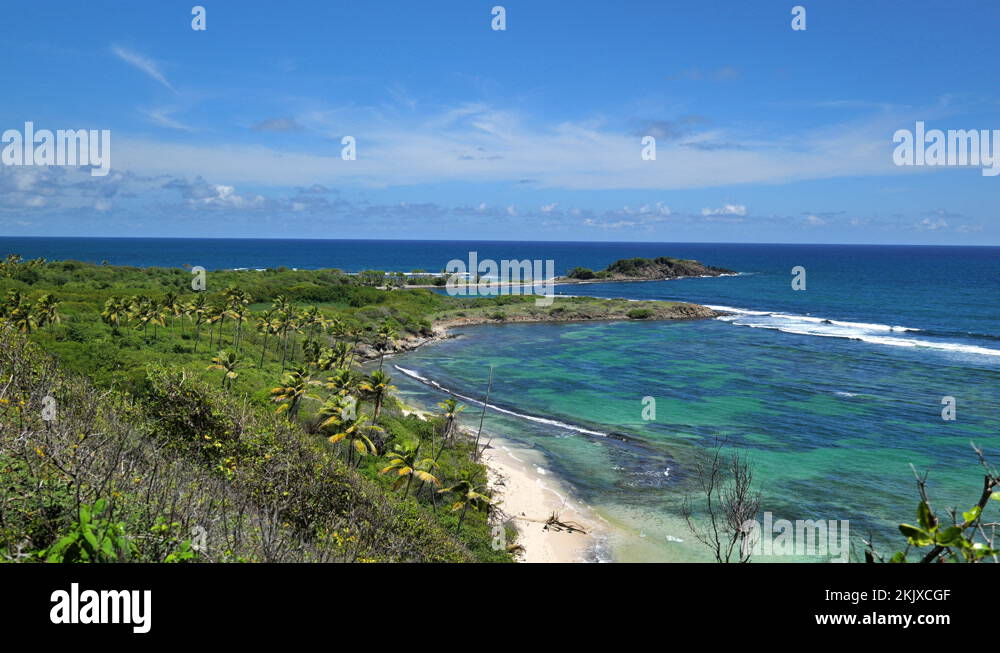 Mauritius martinique Stock Videos & Footage - HD and 4K Video Clips - Alamy