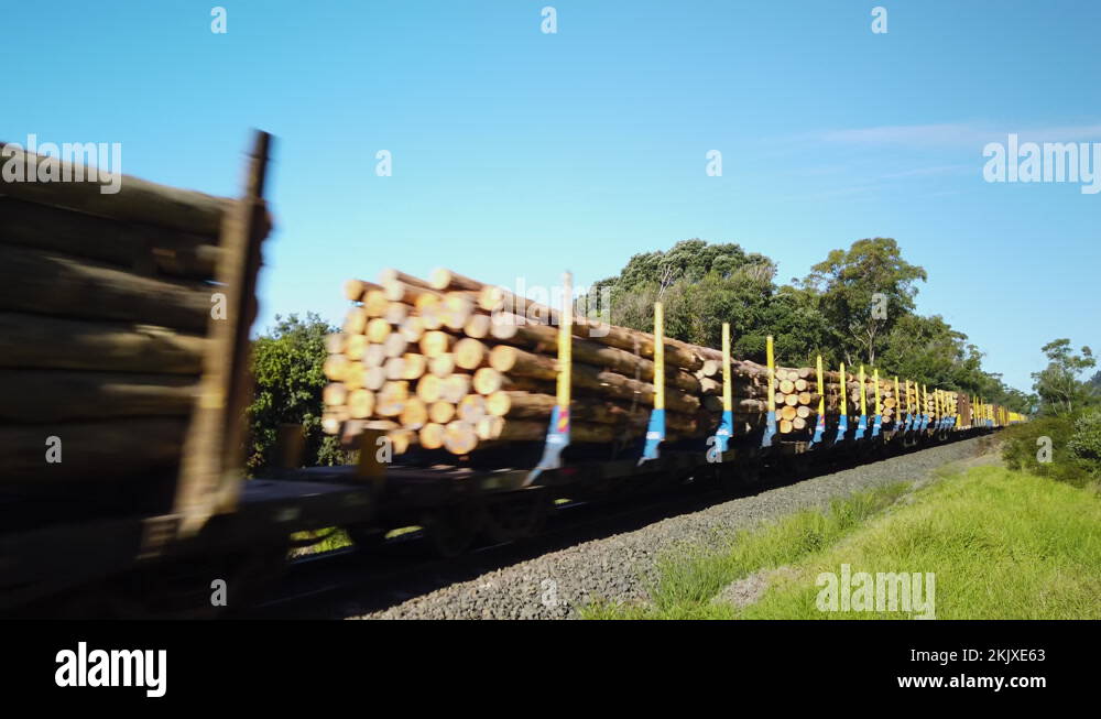 Transporting timber Stock Videos & Footage - HD and 4K Video Clips - Alamy