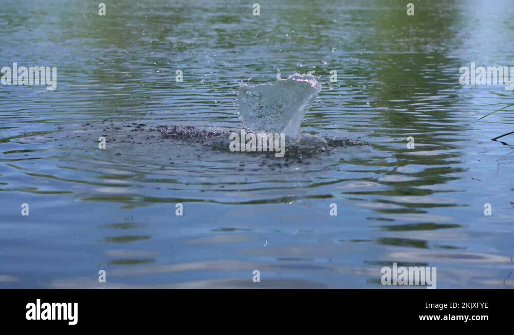 Water falling on stone Stock Videos & Footage - HD and 4K Video Clips ...