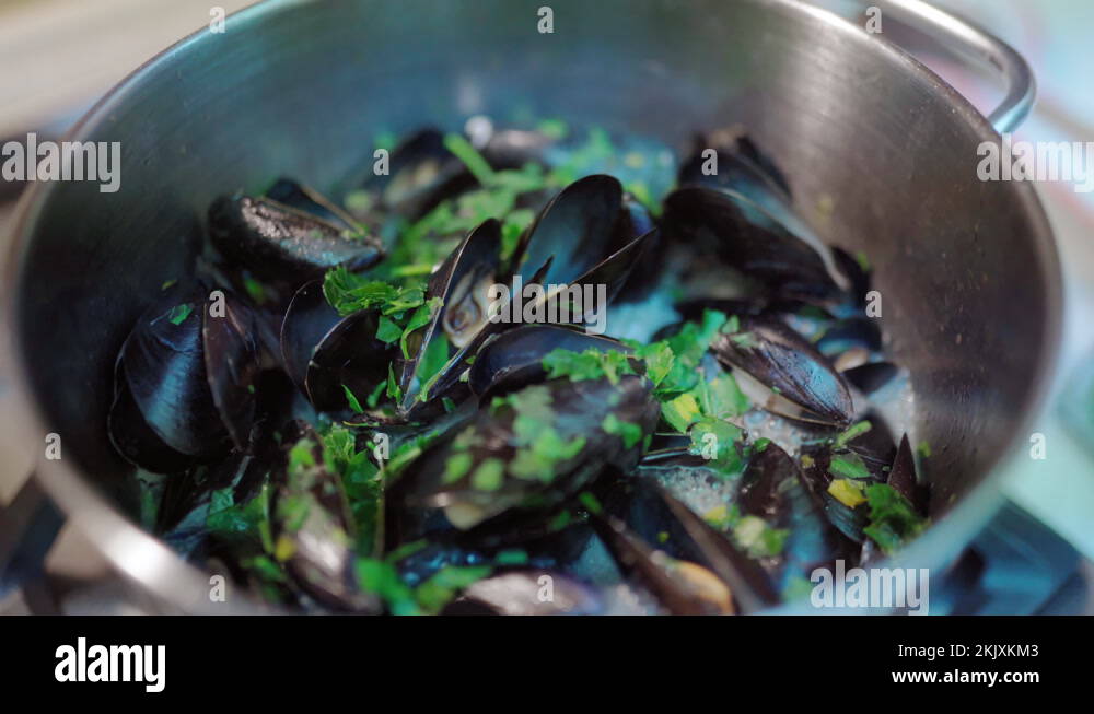 Black mediterranean mussels Stock Videos & Footage - HD and 4K Video ...