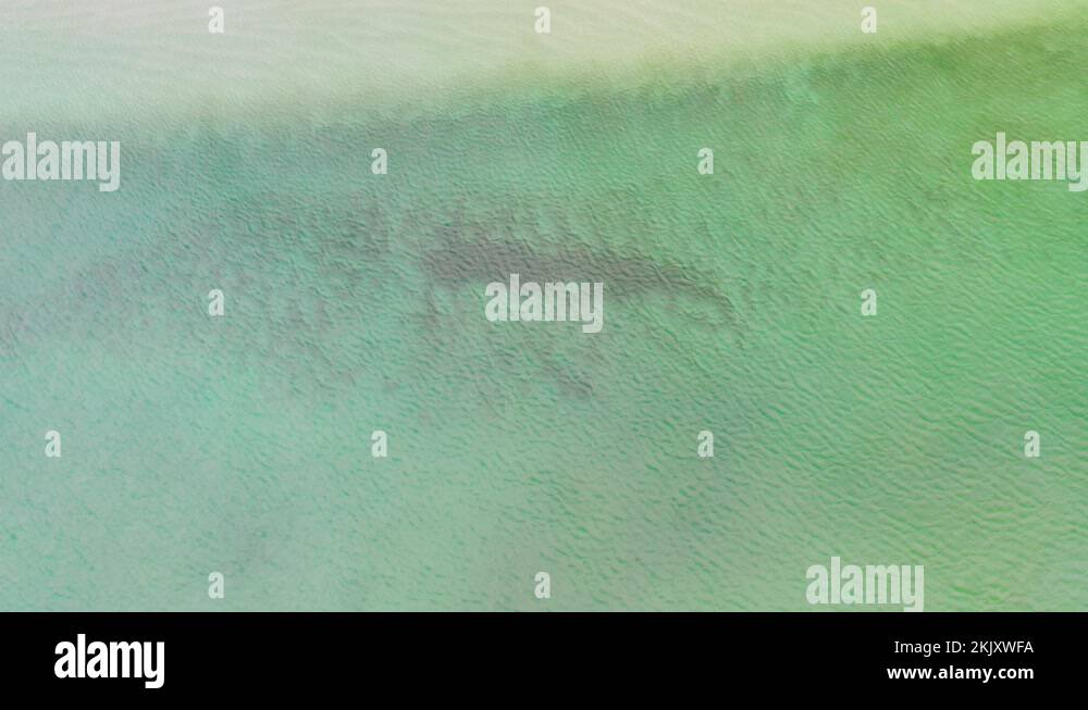 LA RIBERA BCS MEXICO-2020: An Aerial View Of The Ocean Floor Through ...