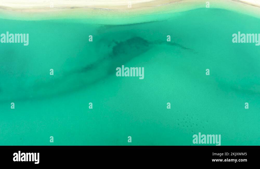 LA RIBERA BCS MEXICO-2020: Still Green Water With The Imagery That ...