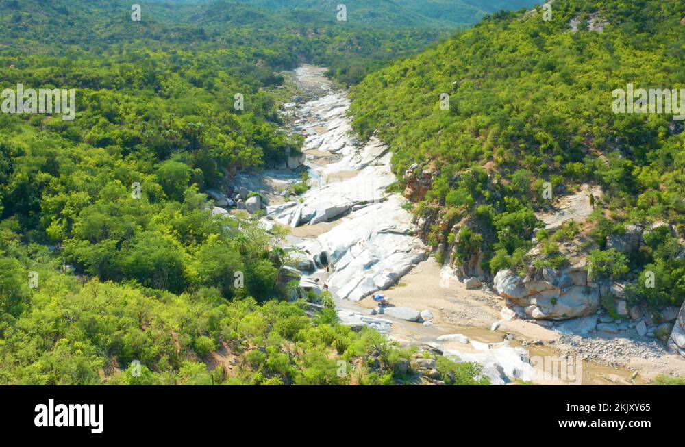 Tall and short trees Stock Videos & Footage - HD and 4K Video Clips - Alamy