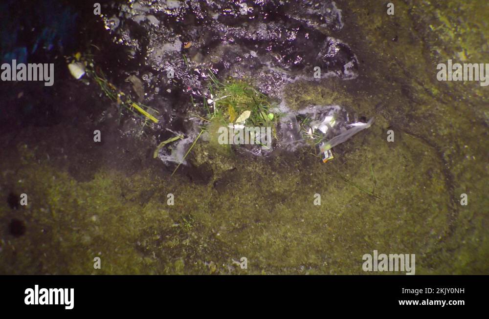 Plastic pollution of the sea: even in the closed cavities of underwater ...