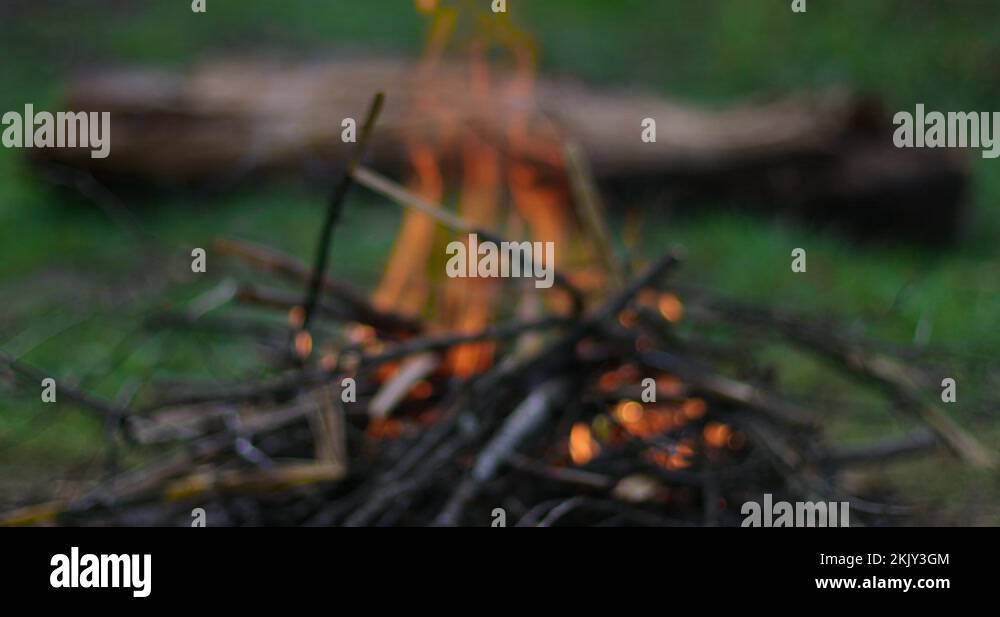 Blurred background video of a burning campfire picnic in the forest ...
