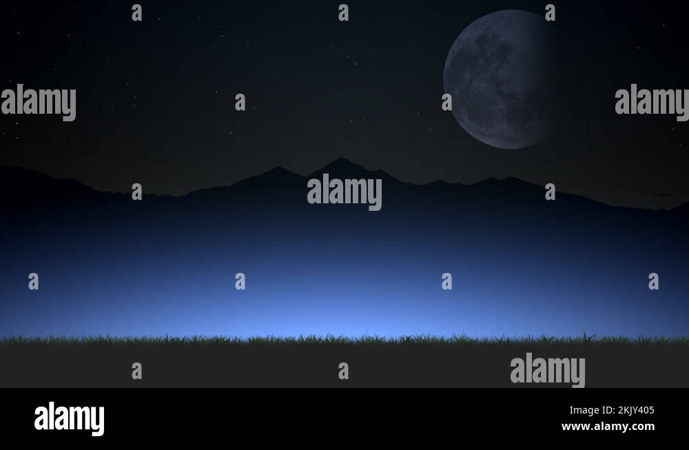 Moon grass Stock Videos & Footage - HD and 4K Video Clips - Alamy