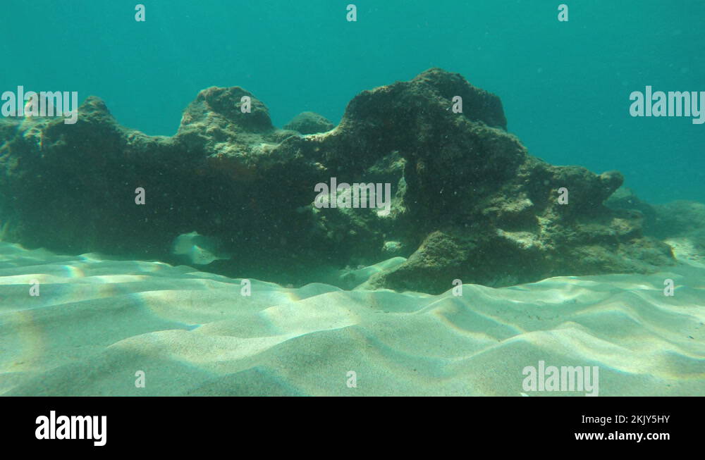 Push fish Stock Videos & Footage - HD and 4K Video Clips - Alamy