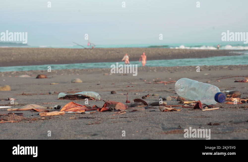 Litter plastic bottles Stock Videos & Footage - HD and 4K Video Clips ...