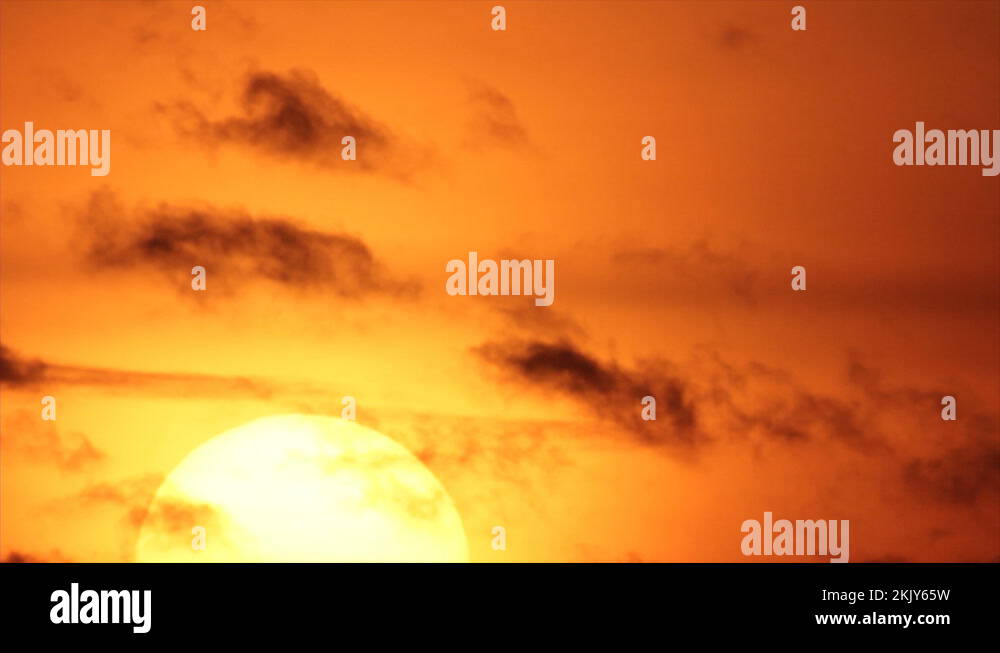 Clumpy Stock Videos & Footage - HD and 4K Video Clips - Alamy