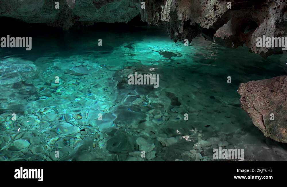 Underground cave in Zacil Ha cenote (Clear Water). Kantun-Chi ecopark ...