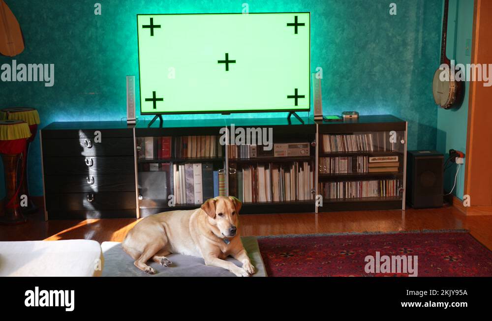 Television with green screen chroma key on it in a living room with ...