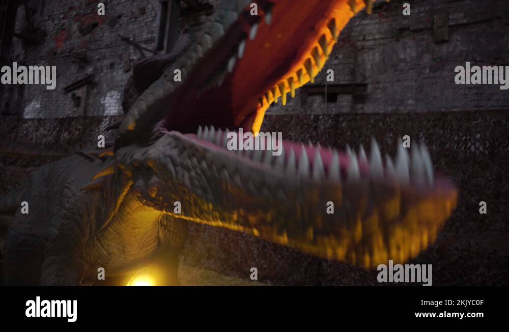 Sharp teeth predator Stock Videos & Footage - HD and 4K Video Clips - Alamy