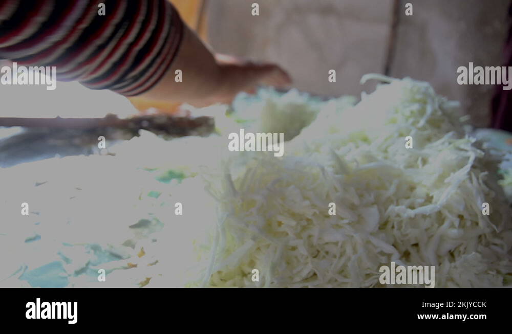 Hand shredded cabbage Stock Videos & Footage - HD and 4K Video Clips ...