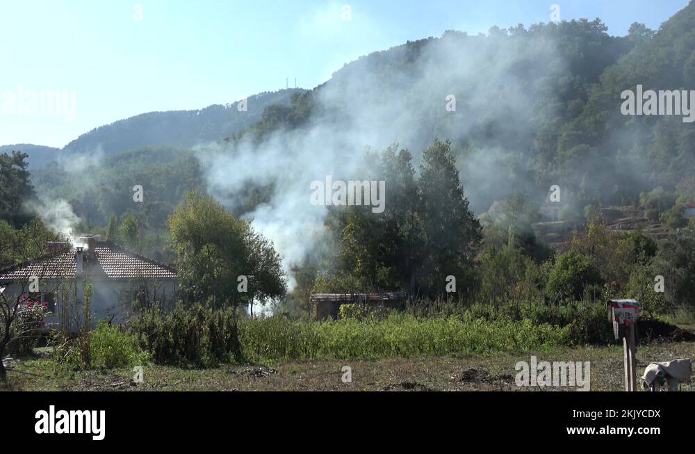 Air pollution in the home Stock Videos & Footage - HD and 4K Video ...