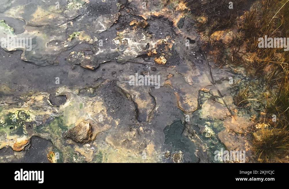 Kamchatka geyser Stock Videos & Footage - HD and 4K Video Clips - Alamy