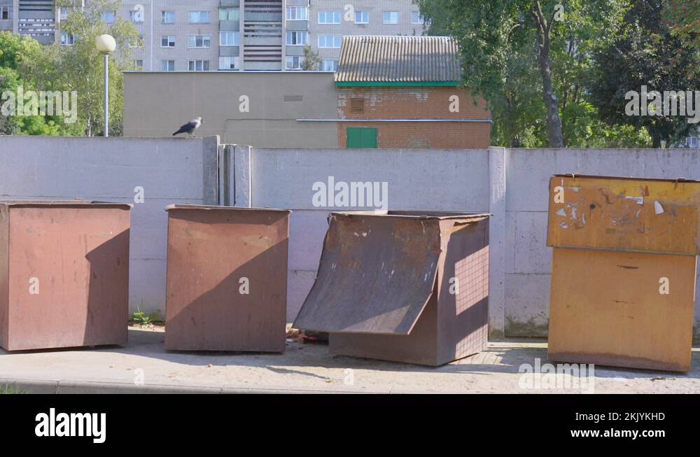 Garbage rubbish bin bins Stock Videos & Footage - HD and 4K Video Clips ...