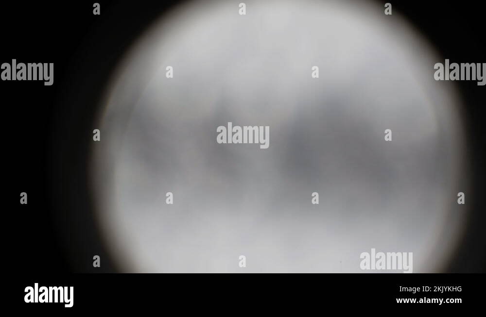 Medium magnification Stock Videos & Footage - HD and 4K Video Clips - Alamy