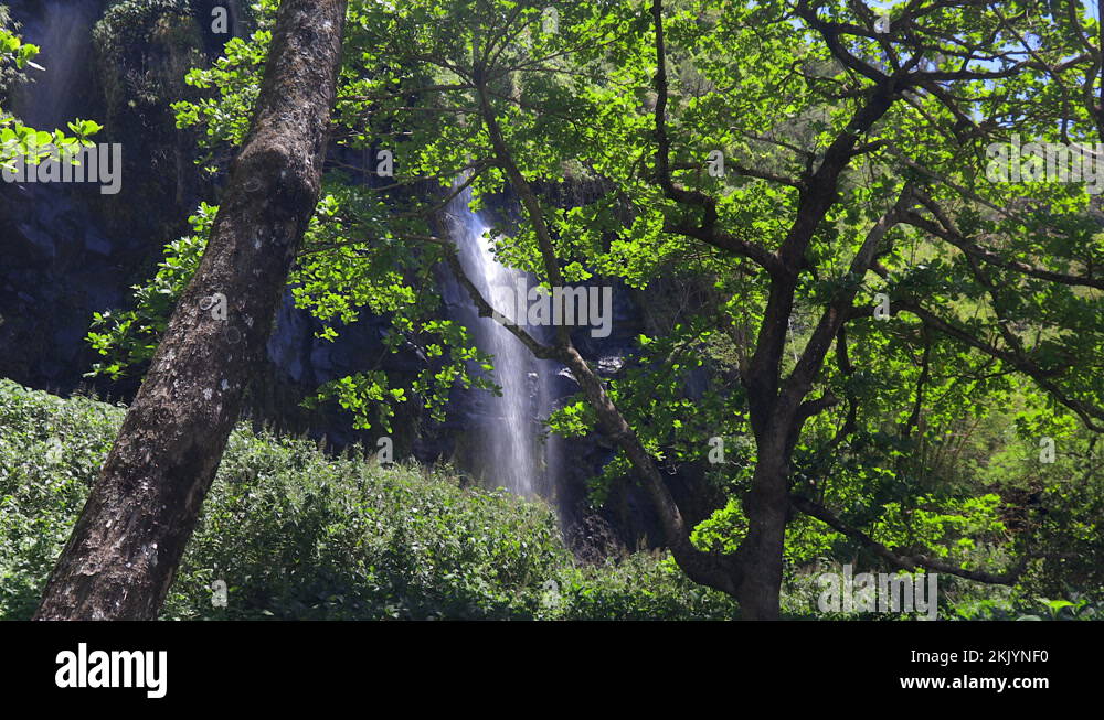 Anse des Cascades waterfalls in Sainte-Rose on Reunion Island Stock ...