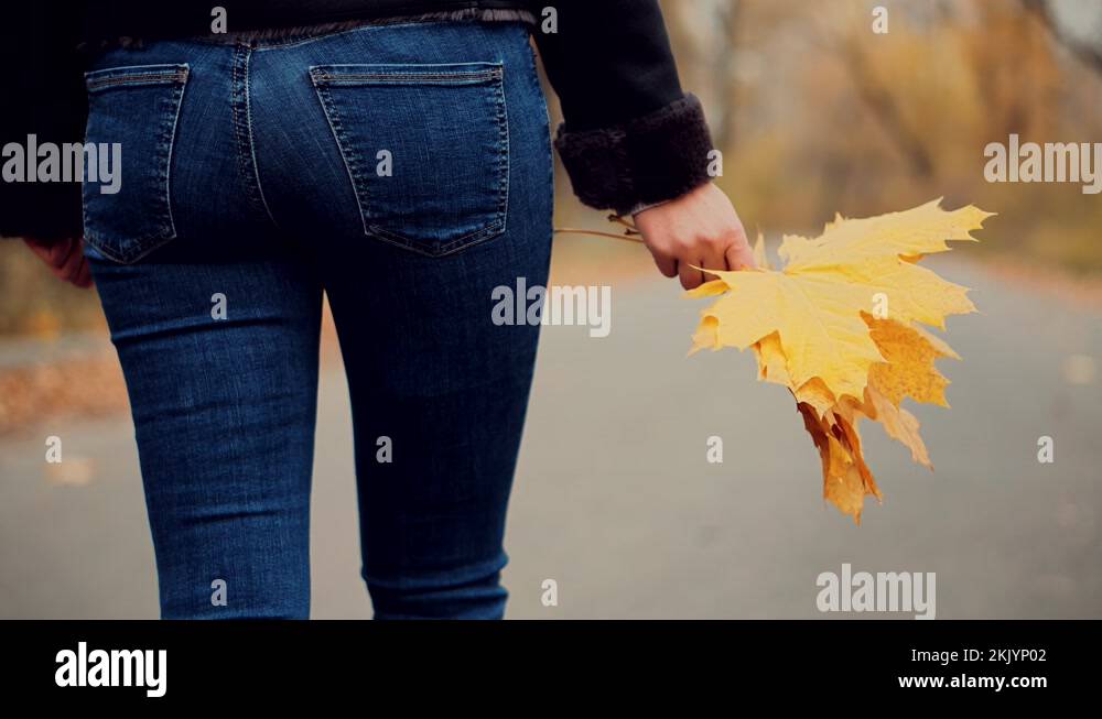 Foreman Builder In Helmet.Civil Architect Developer With Blueprints ...