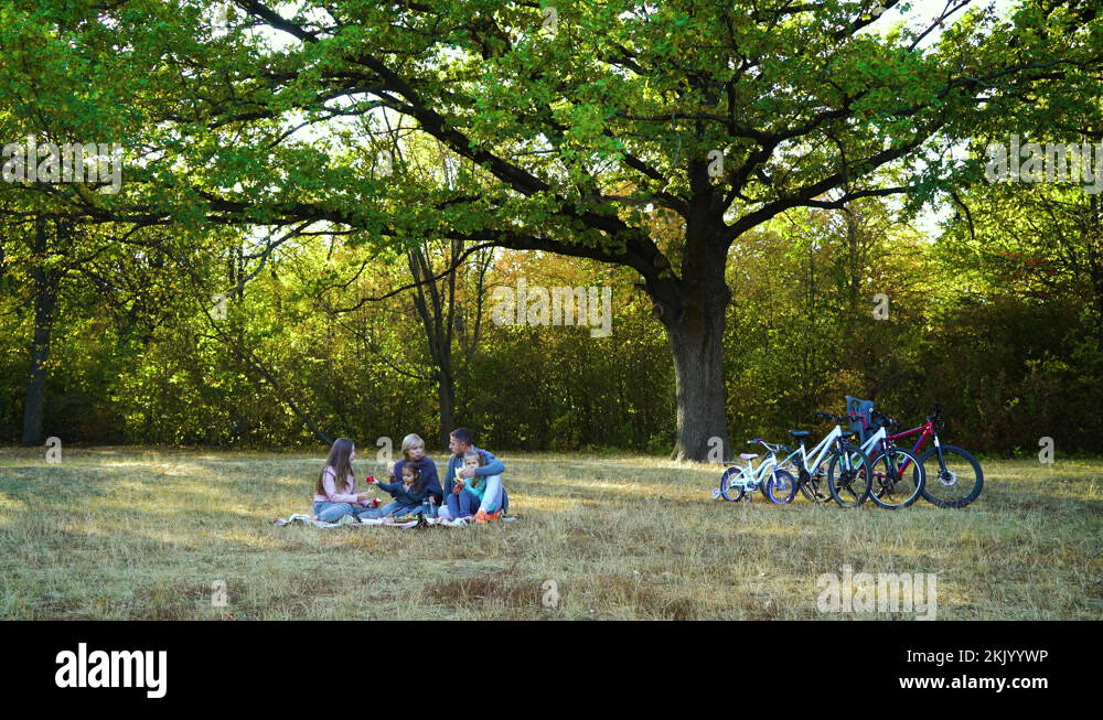 Sitting under oak Stock Videos & Footage - HD and 4K Video Clips - Alamy